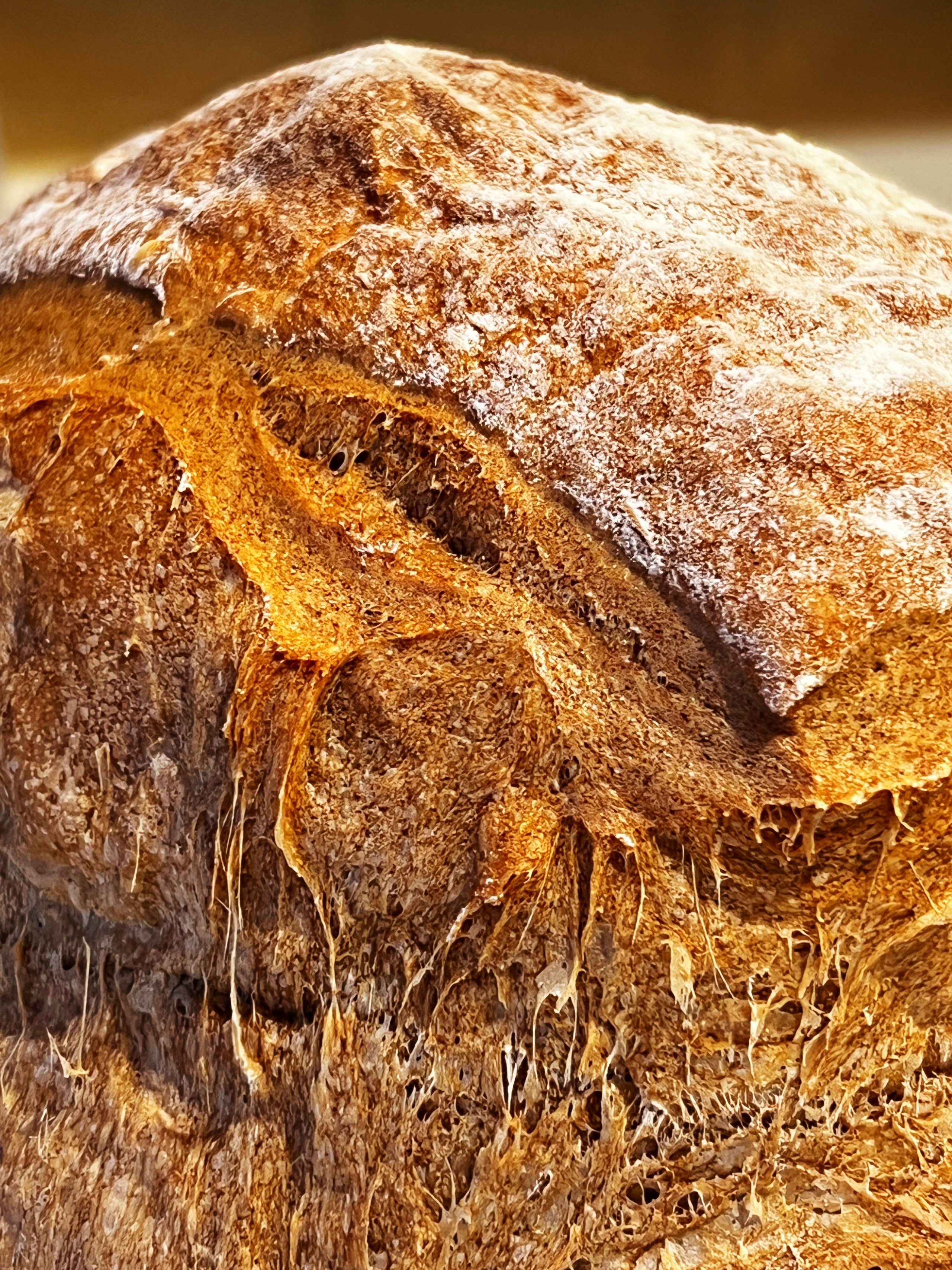 Campaillou Rustic French Bread | Oh Crumbs! Bread Co.