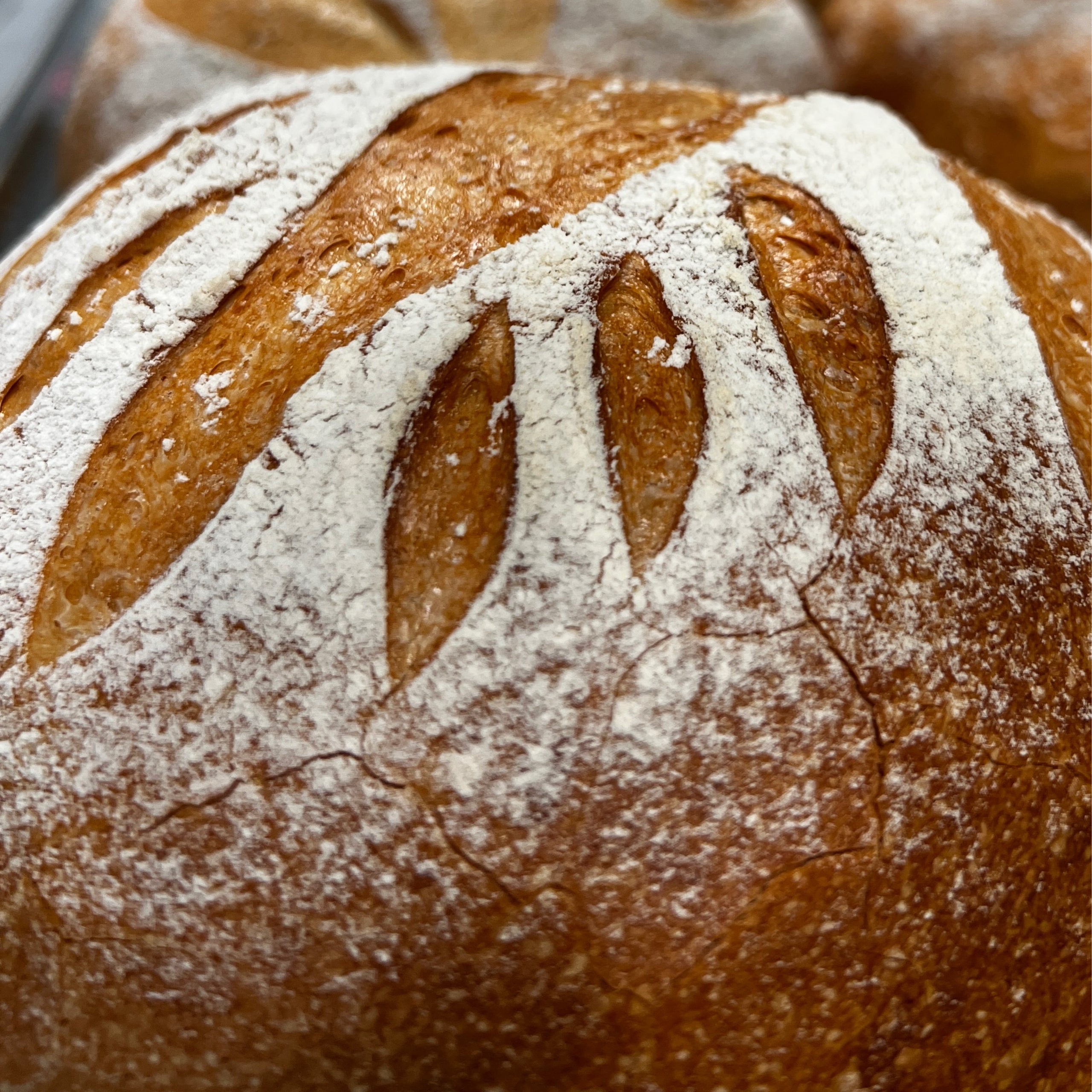 Classic Italian | Oh Crumbs! Bread Co.